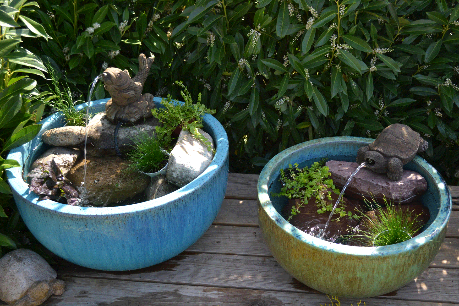 Aqua Bowls – Gasper Home & Garden
