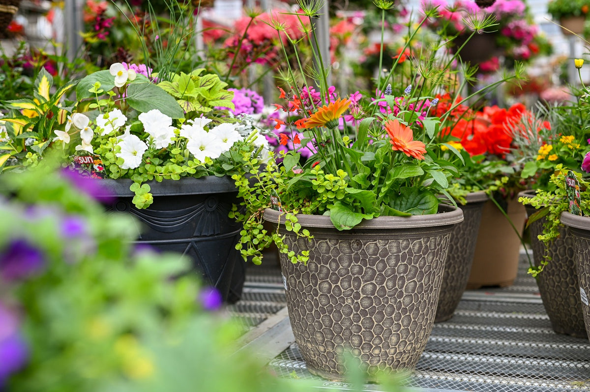 Gasper Home & Garden Center