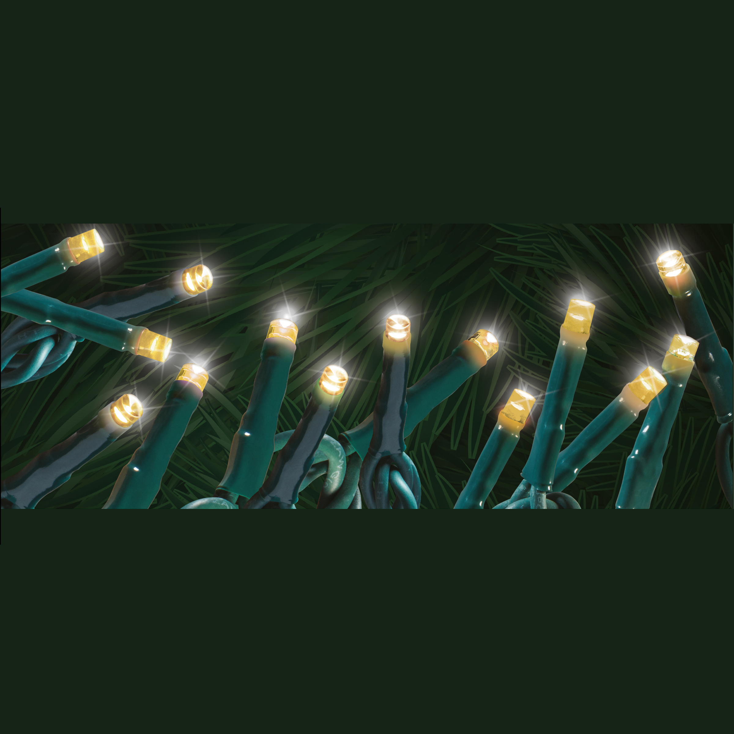 Low Voltage "Starry-Pro Lights" LED String Set – Gasper Home & Garden