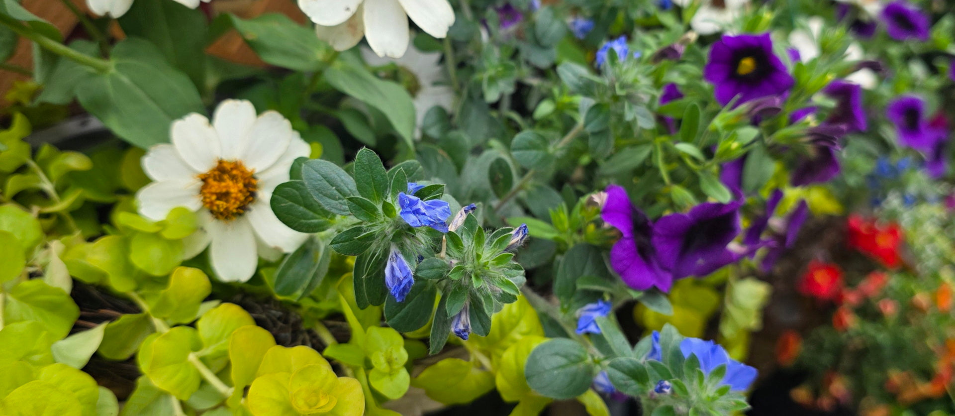 Gasper Home & Garden Center